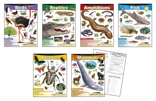 Animal Diversity Learning Pack – A to Z Educational Resources