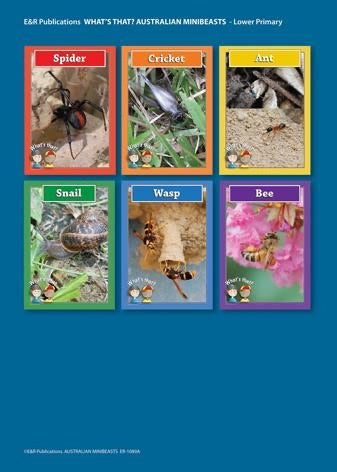 Australian Mini Beasts Lower Primary – A to Z Educational Resources